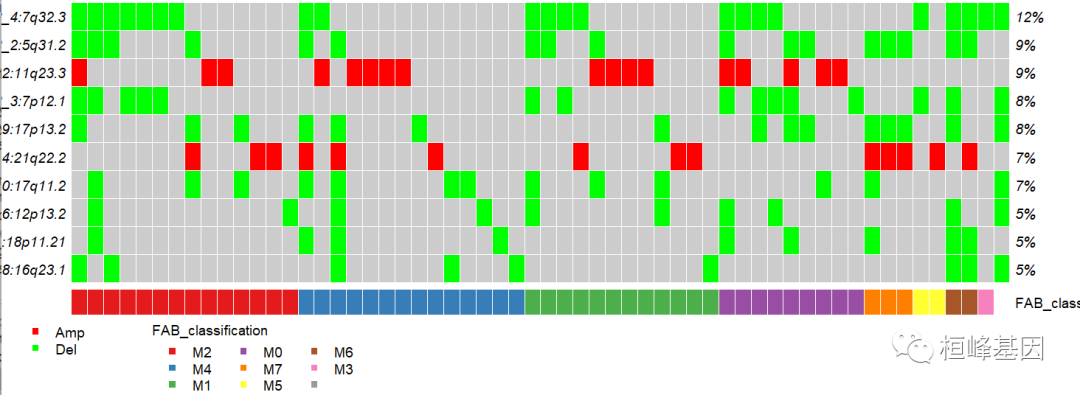 DNA 7. 基因组拷贝数变异分析及可视化 (GISTIC2.0)-CSDN博客