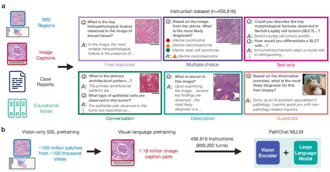 超过 GPT-4V！哈佛医学院 AI 聊天机器人登上 Nature，肿瘤识别率接近 90% | 最新快讯-CSDN博客
