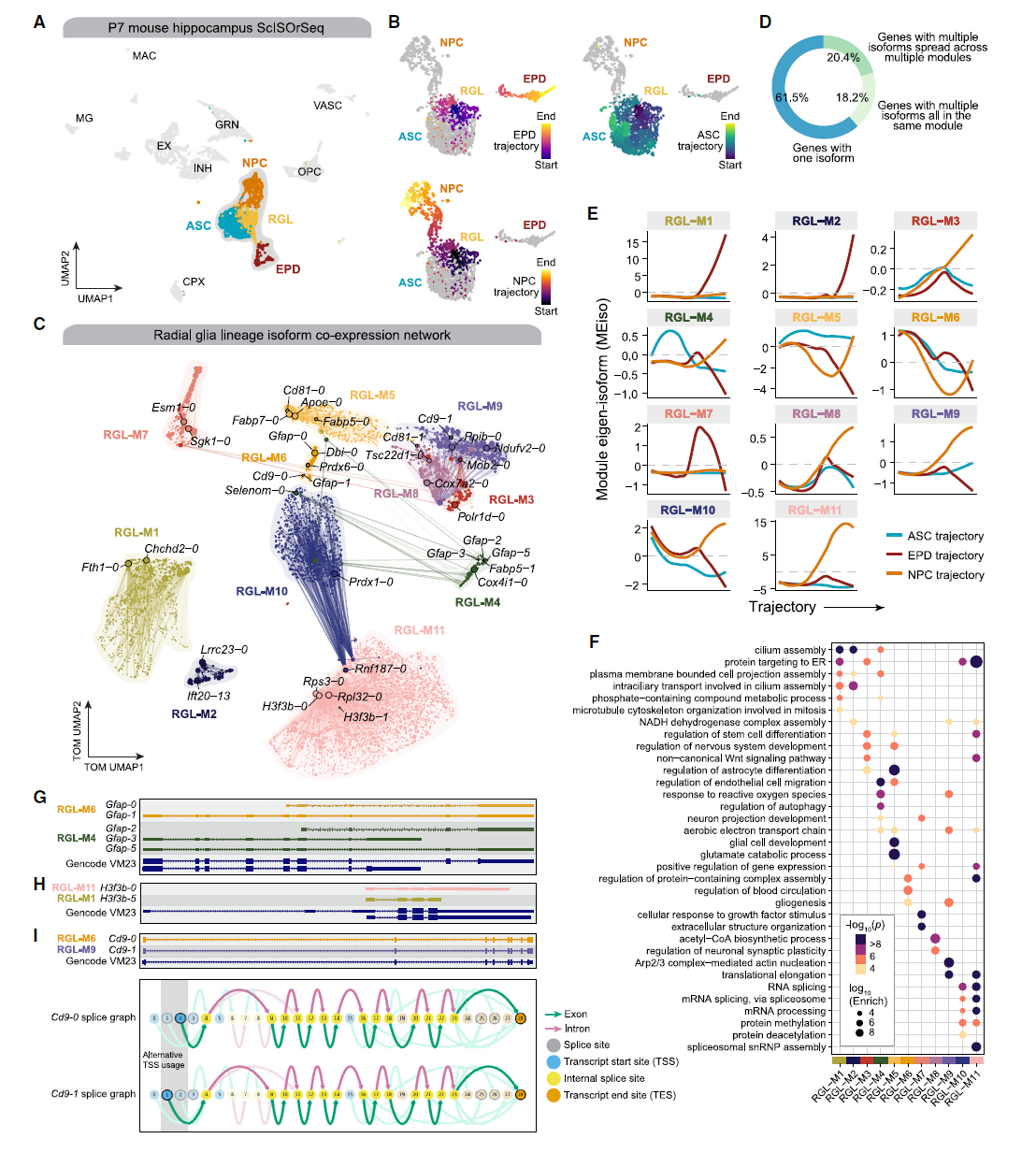 针对高维数据（10X单细胞空间）的共表达网络分析（hdWGCNA）_hdwgcna找到hub基因以后怎样分析?-CSDN博客
