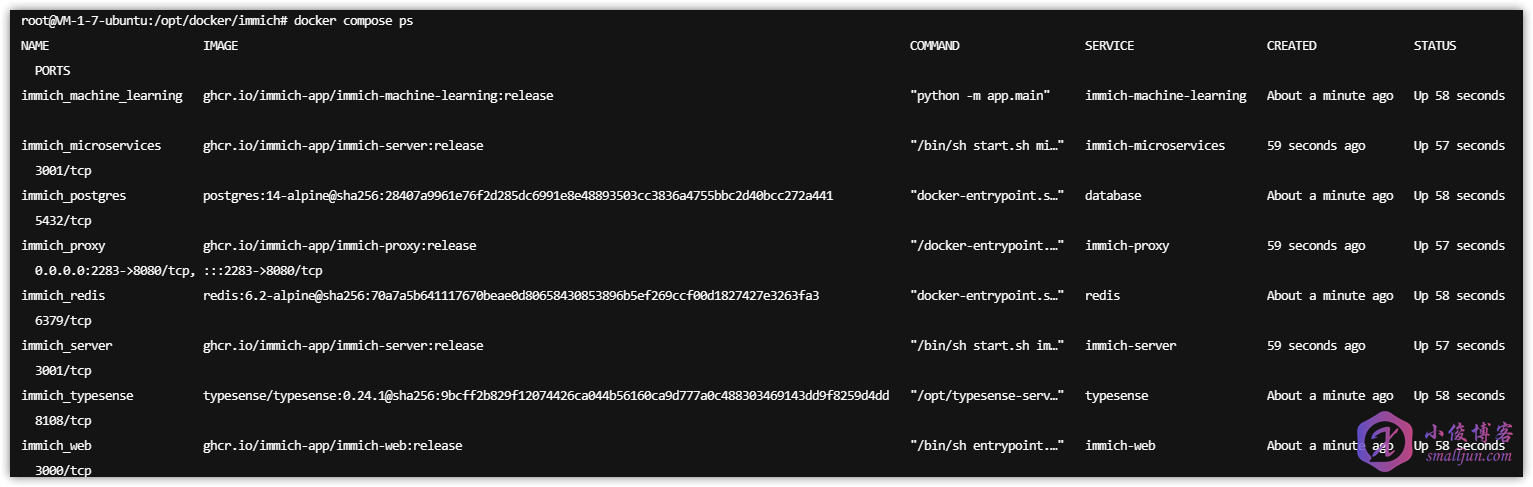 【实用的开源项目】使用服务器部署Immich，高颜值高性能的自托管照片和视频备份方案-CSDN博客