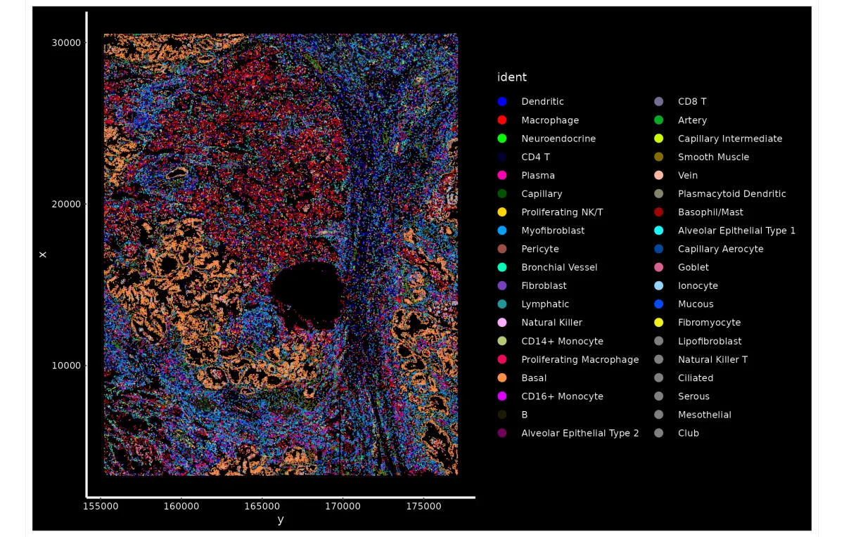 10X空间转录组Visium && HD && Xenium分析全更新_10x visium和hd的区别-CSDN博客