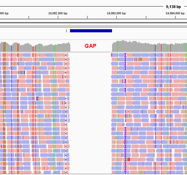 「GATK 4」如何提高HaplotyperCaller的效率-CSDN博客