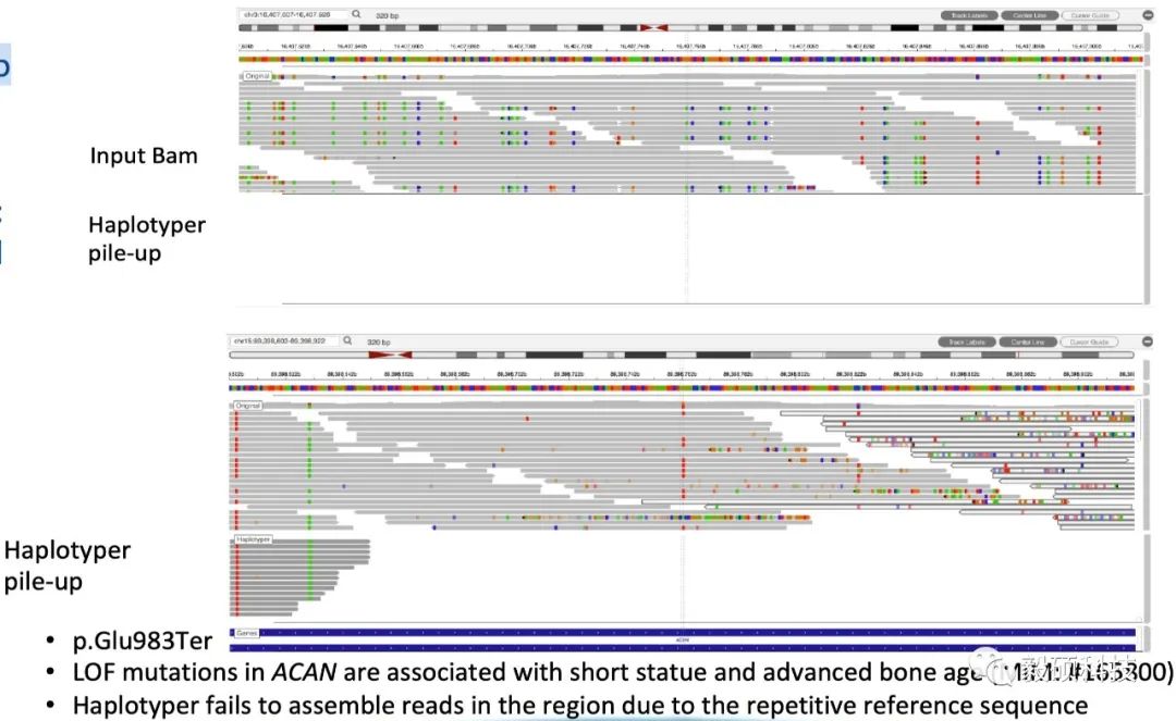 DNAscope白皮书：做胚系遗传变异检测，比GATK更好的选择_胚系血液测序深度-CSDN博客
