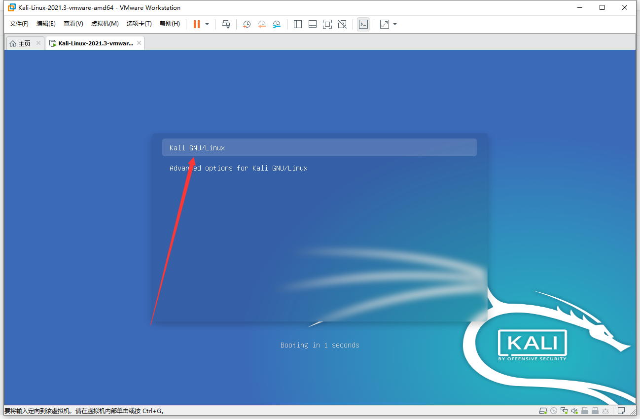 最新版本kali安装教程（VMware版本）_kali linux vmware-CSDN博客