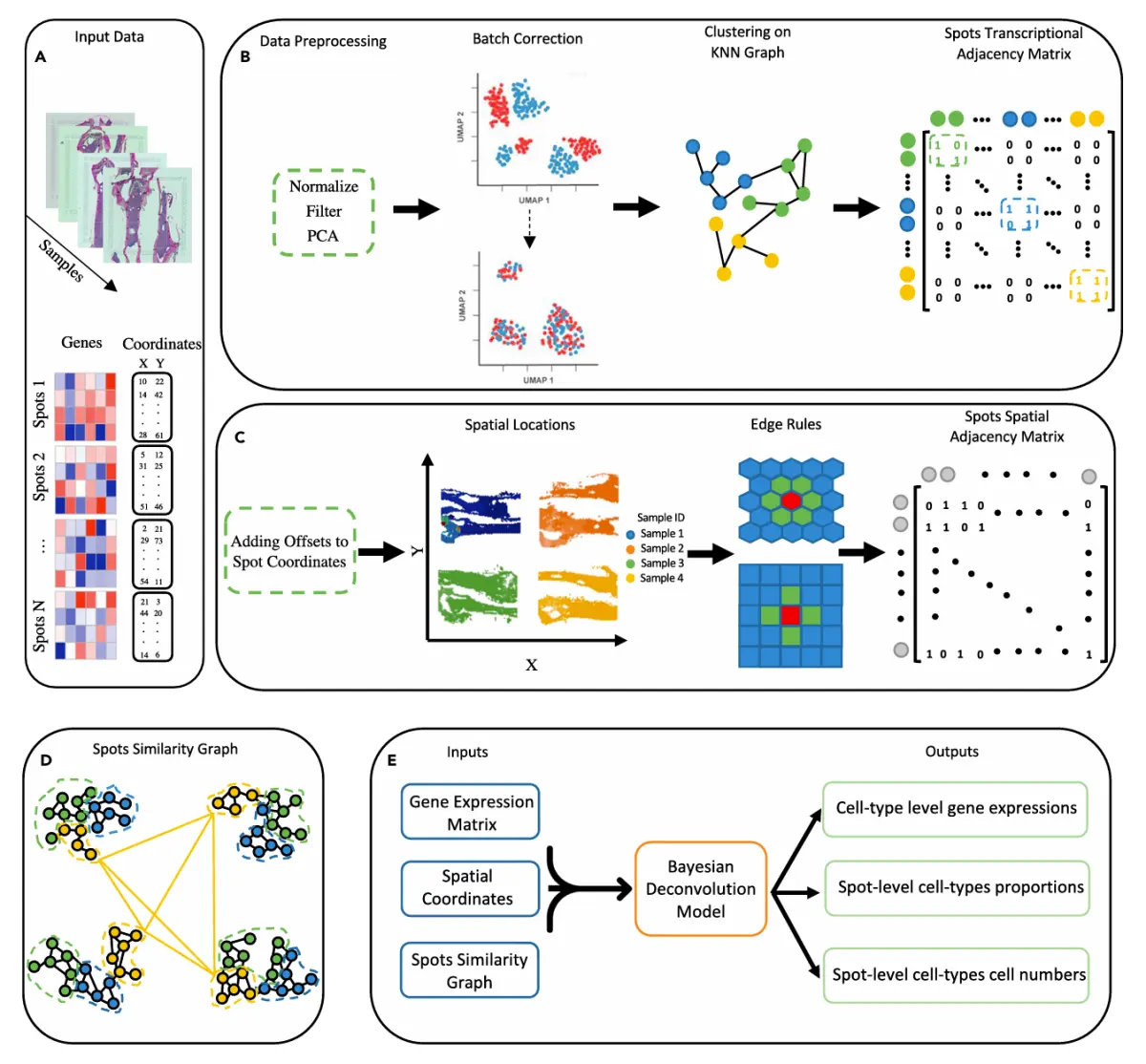 多样本空间转录组学联合解卷积分析与跨样本转录相似性分析_spatialexperiment::read10xvisium-CSDN博客