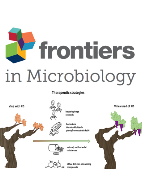 年发文量超5000篇，自引率直逼10%，是下一本NC神刊，还是又一本巨型水刊？_frontiers in microbiology预警-CSDN博客