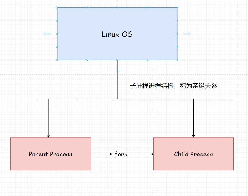 【Linux】fork函数详解|多进程_多进程fork-CSDN博客