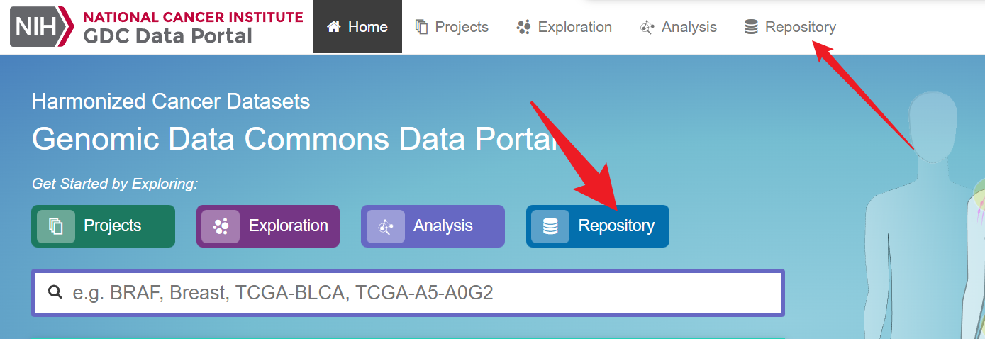 TCGA下载和表达矩阵整理：最适合初学者的教程