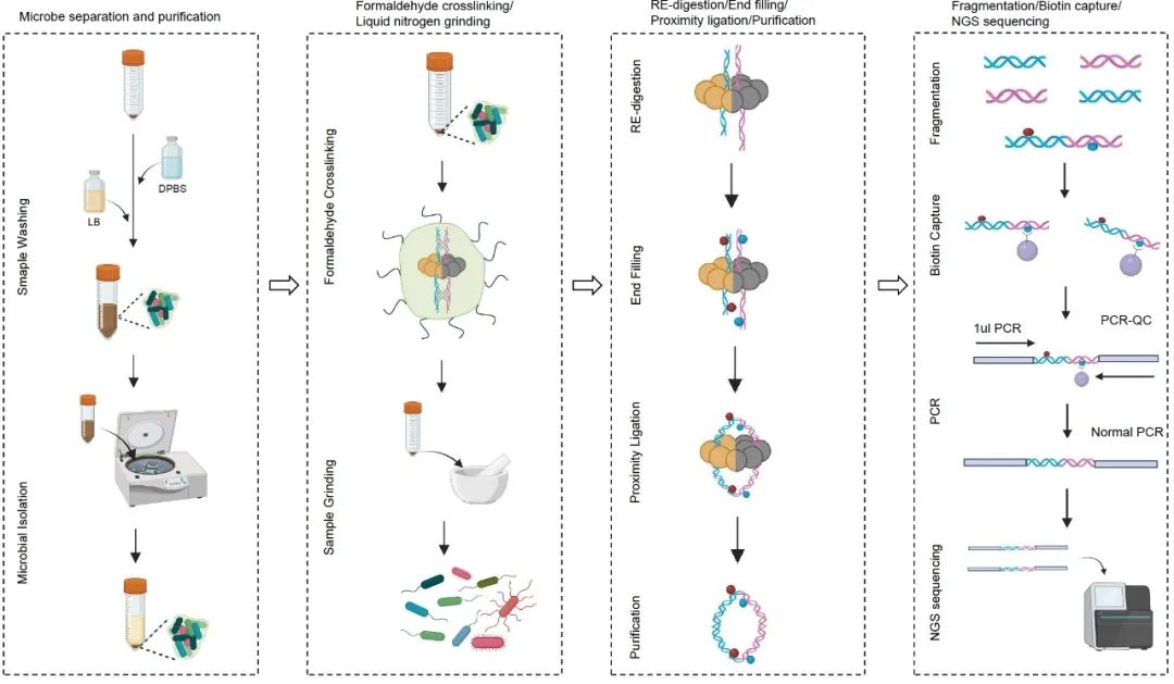 iMeta期刊 第3卷第5期 在线正式发布-CSDN博客