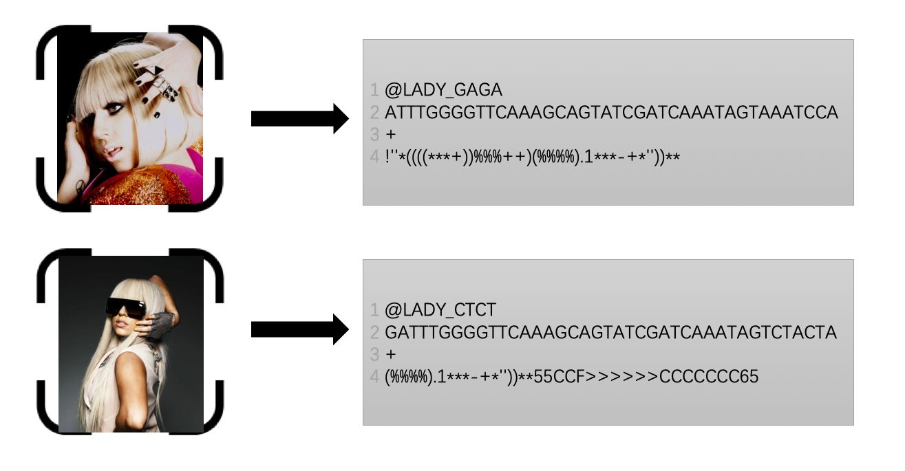 FASTQ! BAM! VCF_fastq转vcf-CSDN博客
