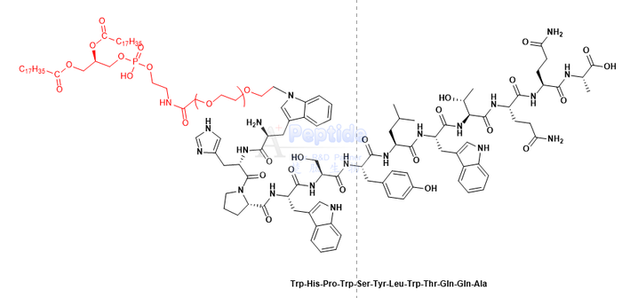 DSPE-PEG-RP-1(WHPWSYLWTQQA)（二硬脂酰基磷脂酰乙醇胺-聚乙二醇-肿瘤靶向蛋白)；DSPE-PEG-WHPWSYLWTQQA-CSDN博客