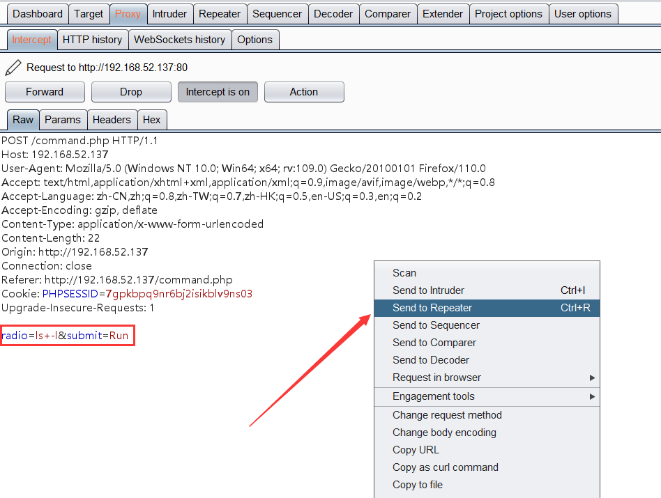 对DC-4靶机进行渗透测试_dc4靶机渗透实验-CSDN博客