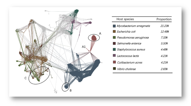 Bioinformatics & BIB｜港城大孙燕妮组用于识别和分析宏基因组数据中噬菌体序列的网站...-CSDN博客