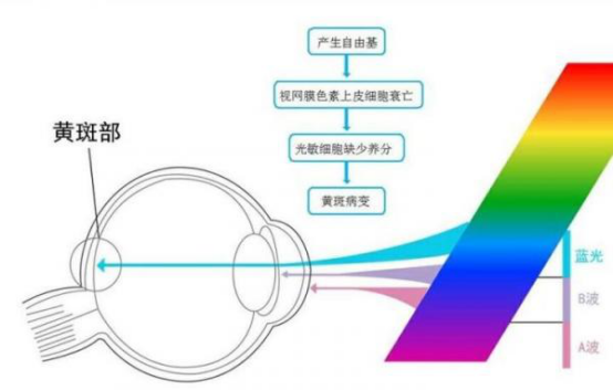 rg1 蓝光危害rg0_蓝光危害的机理浅析_无形小手的博客-CSDN博客