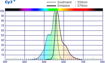 水溶性/脂溶性/Cy3/Cy3.5/Cy5 NHS ester 染料在活体成像中的应用_nhs在体内会反应吗-CSDN博客