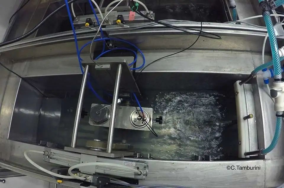 ISME：表层蓝藻下沉至1000米深海固氮-CSDN博客