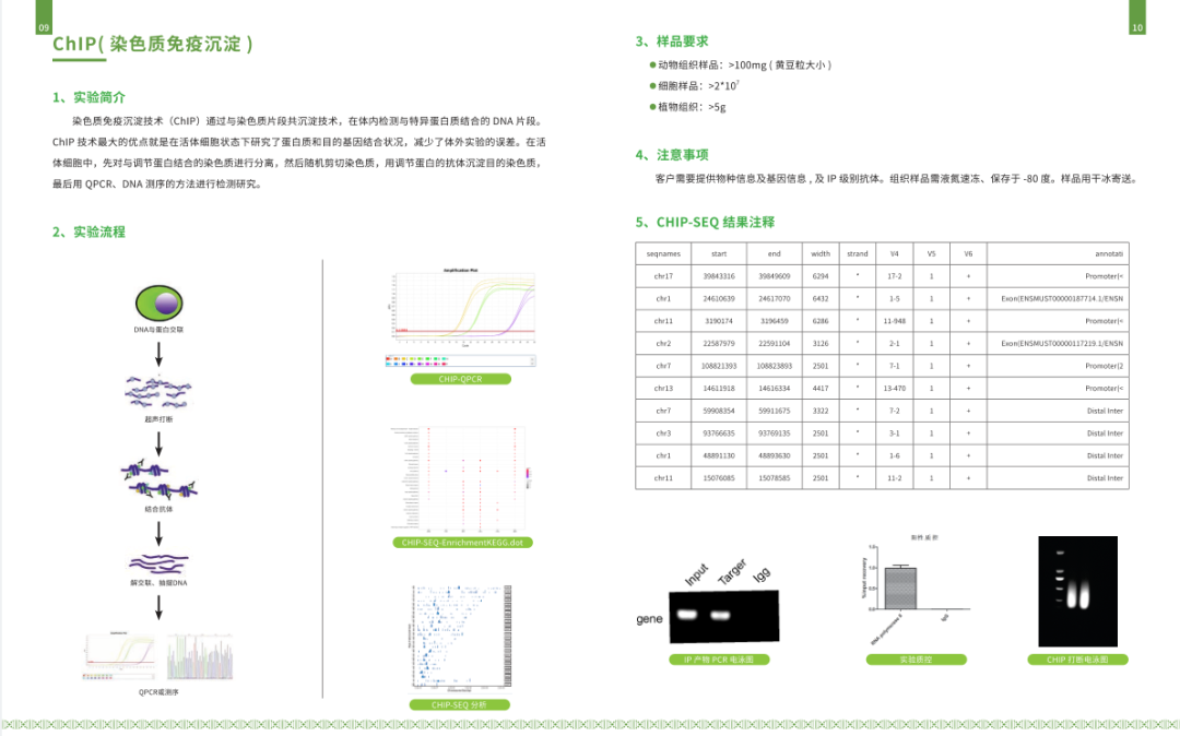 RIP实验步骤(RNA Immunoprecipitation)_input rna_avareart的博客-CSDN博客
