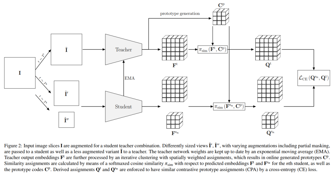 顶刊MIA 2023！PUNet：参数高效医学图像分割的提示微调-CSDN博客