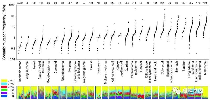 DNA 13. SCI 文章肿瘤突变负荷计算方法（TMB）-CSDN博客