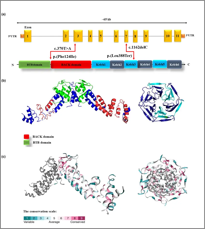 基因检测与 AI 时代的未来展望_基因 人工智能-CSDN博客