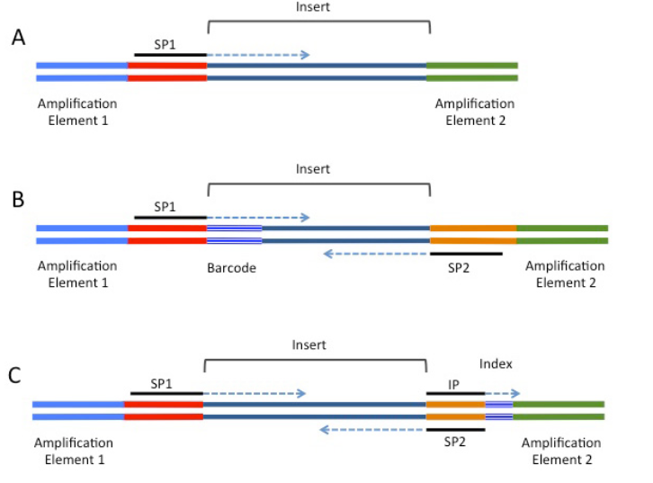 eclip分析流程_encode eclip分析-CSDN博客