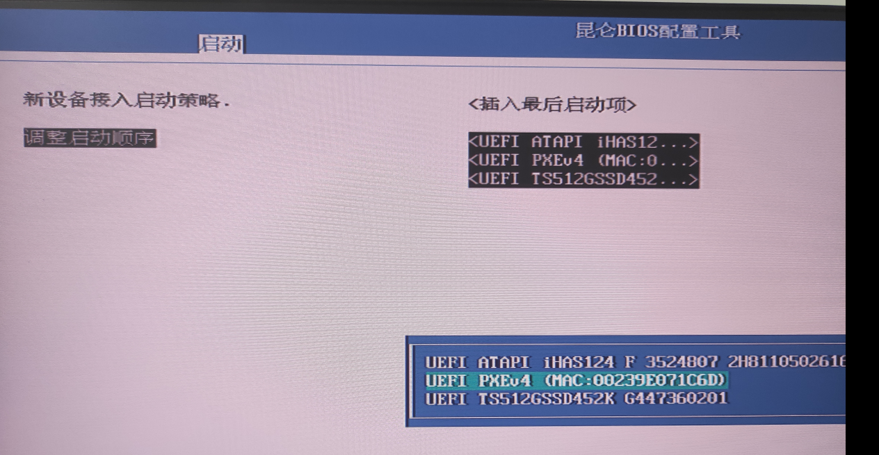 pxe 安装_pxe安装系统的安装日志在哪看-CSDN博客