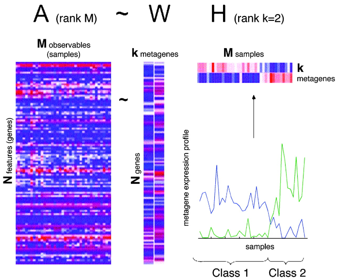 非负矩阵分解(NMF)的几个相关运用-CSDN博客