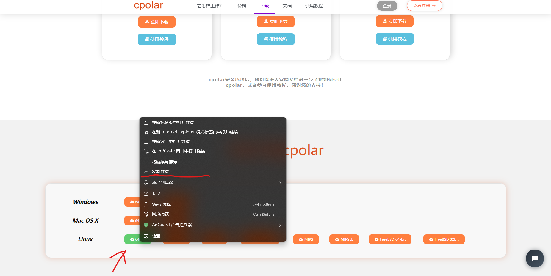 Linux无root权限普通账号部署内网穿透工具cpolar_免root内透-CSDN博客