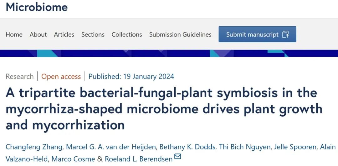 Microbiome | 乌得勒支大学Roeland L. Berendsen组揭示细菌-真菌-植物三重共生驱动植物生长和菌根化...-CSDN博客