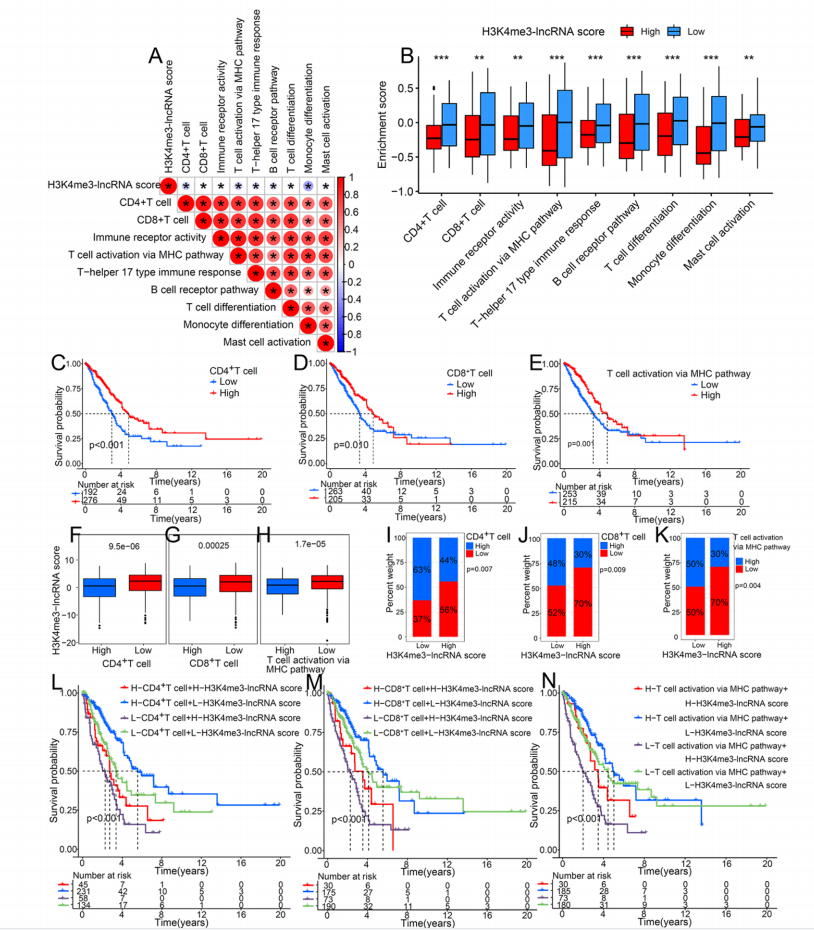组蛋白修饰 | 一文带你了解H3K4me3_promoter-associated marker h3k4me3-CSDN博客