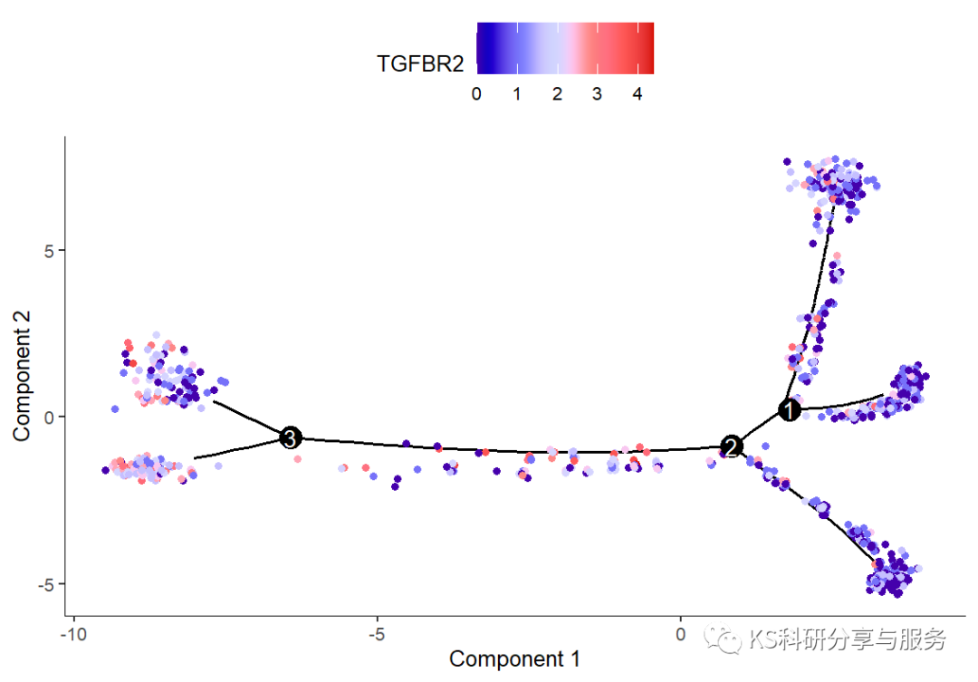 跟着Cell学单细胞转录组分析(十):Monocle2拟时分析演示之结果可视化（下）_细胞拟时间分析 密度图-CSDN博客
