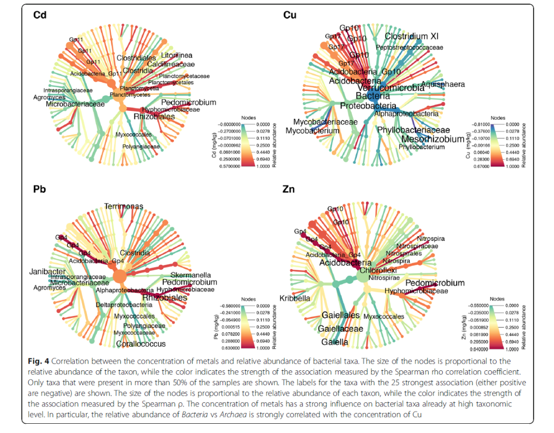 metacoder-相关进化树图的绘制于实践-CSDN博客