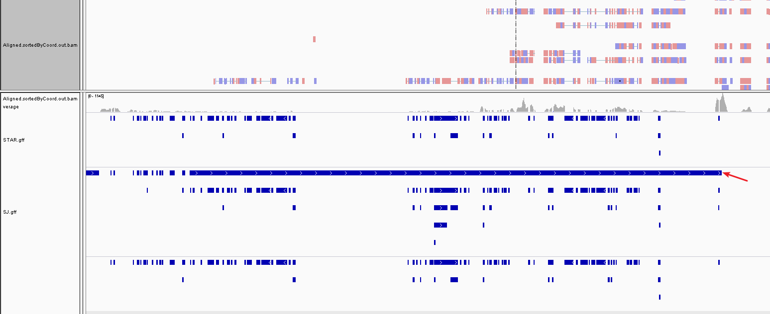 使用MAKER进行基因注释(高级篇之GeneMark-ET模型训练）-CSDN博客