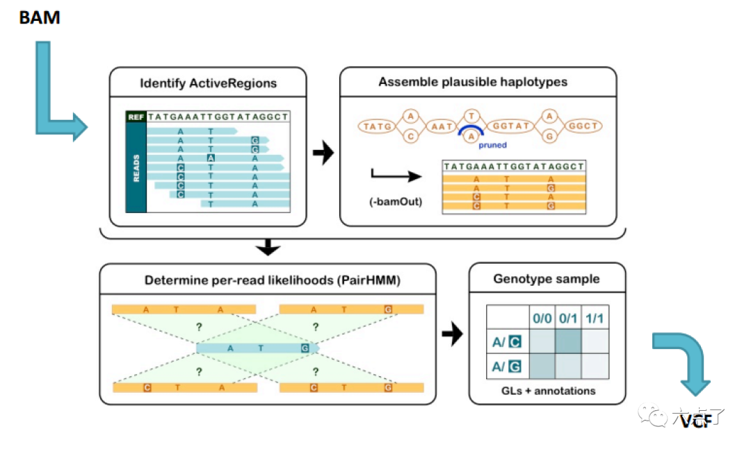 一文详解GATK-HaplotypeCaller 变异检测原理和实战-CSDN博客