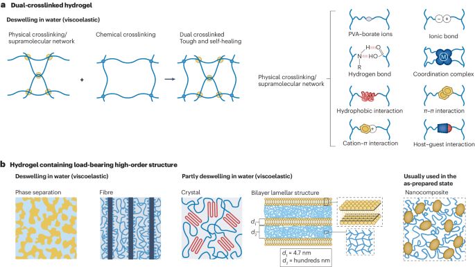 水凝胶最新Nature Reviews Materials-CSDN博客
