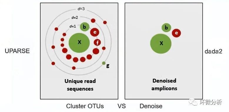 DADA2处理原始序列获取ASV特征表与物种注释表_微生物asv分析-CSDN博客