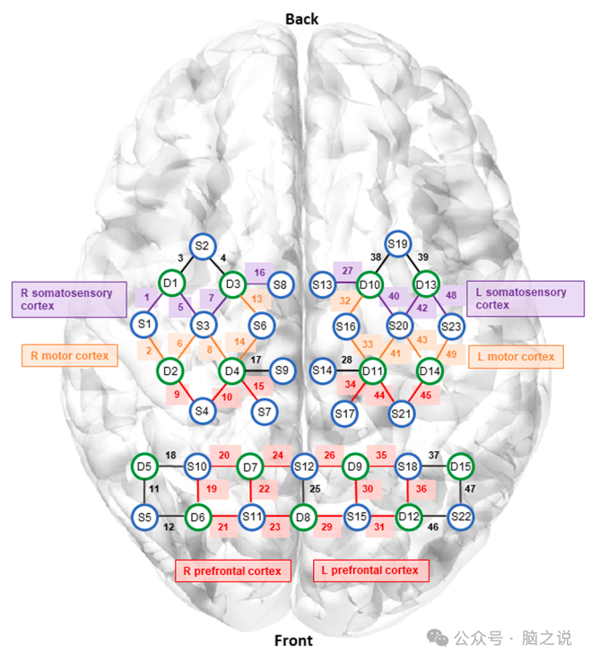 NeuroImage|双重任务中皮层激活和脑网络效率:一项fNIRS研究_测量大脑激活的仪器-CSDN博客
