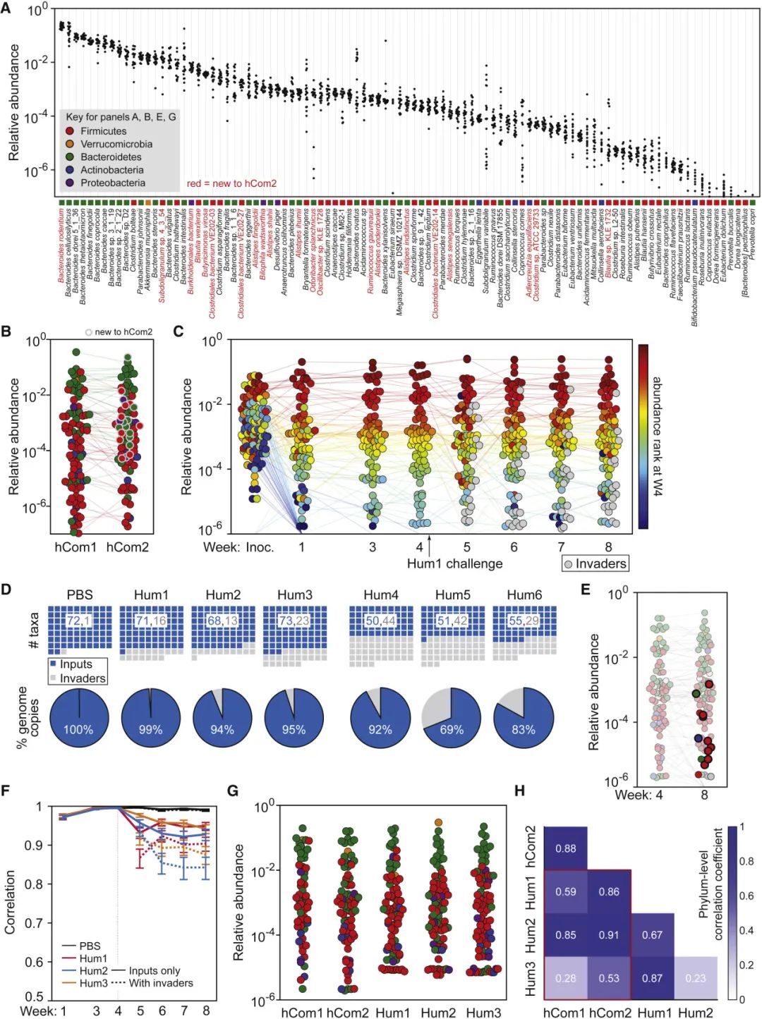 Cell | 斯坦福大学实现对复杂肠道微生物组的设计、构建和体内强化-CSDN博客