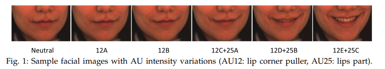 Action Unit到底是什么？_action unit 28-CSDN博客