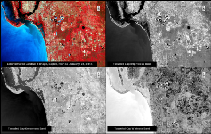 使用 ENVI + IDL 开发自定义处理算法_envi+idl-CSDN博客