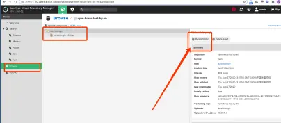 超详细NPM代理仓库Nexus 搭建、配置及验证过程_nexus npm-CSDN博客