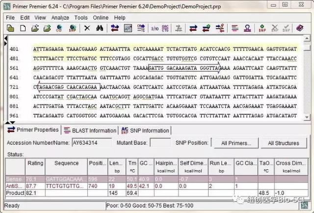 引物设计软件primer_技能篇之分子生物学常用小软件分享-CSDN博客