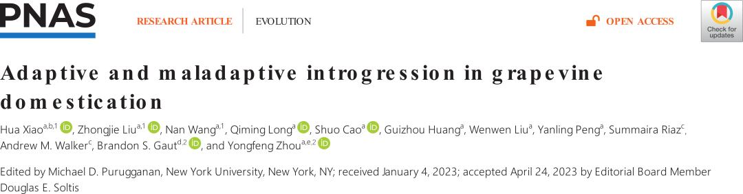 PNAS | 基因组所周永锋组寻味葡萄：葡萄基因渗入双刃剑及其育种意义-CSDN博客