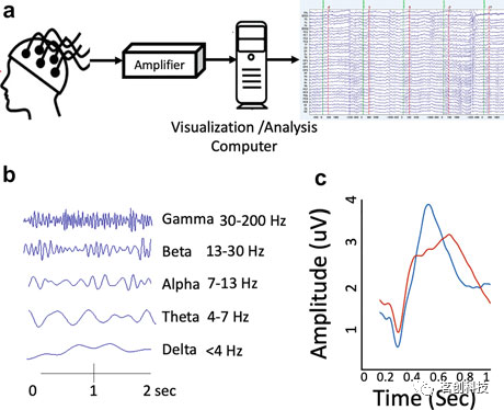 多模态神经成像之EEG-fMRI同步_fmri和eeg结合使用-CSDN博客
