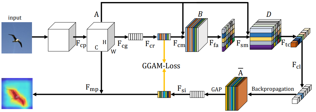 论文阅读：Grad-CAM guided channel-spatial attention module-CSDN博客