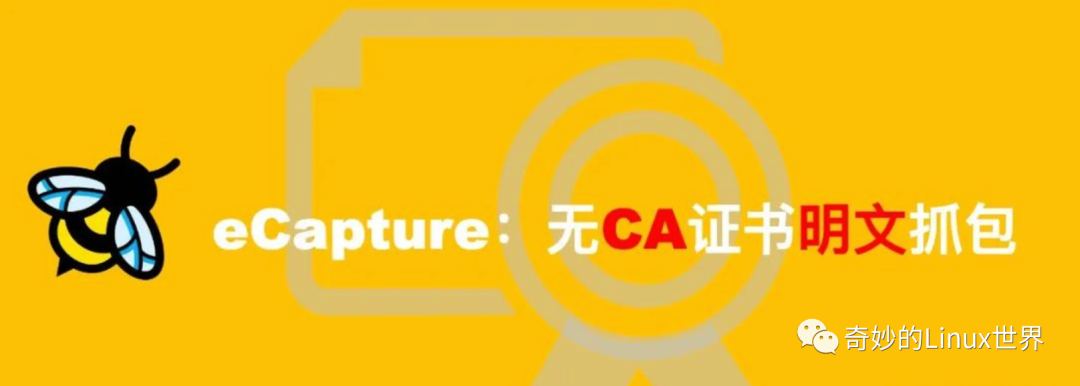eCapture : 一款无需 CA 证书，直接抓取 HTTPS 网络明文通讯的神器-CSDN博客