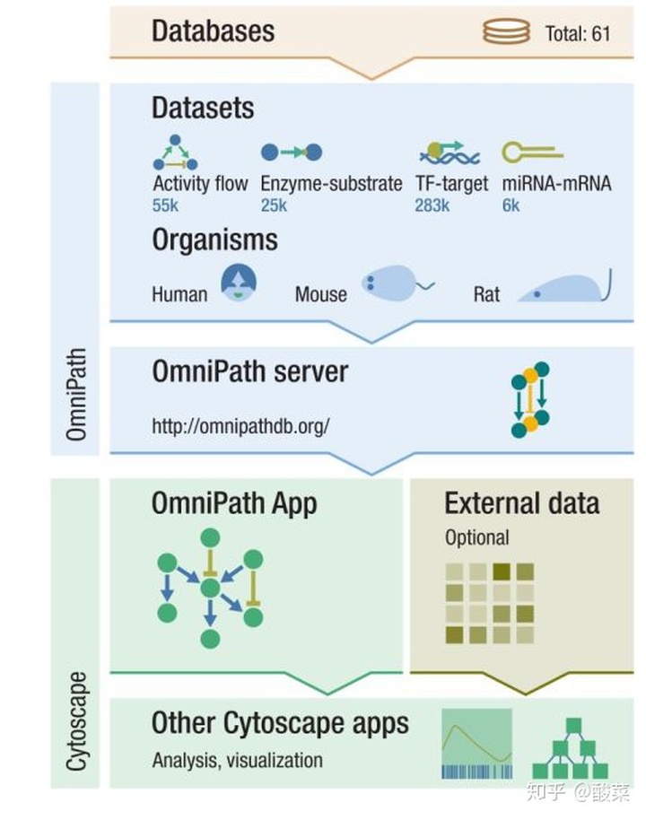 mirna富集分析_信号通路分析神器——OmniPath插件-CSDN博客