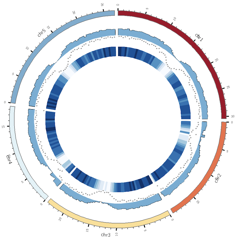 从零开始学CIRCOS绘制圈图(三)-CSDN博客