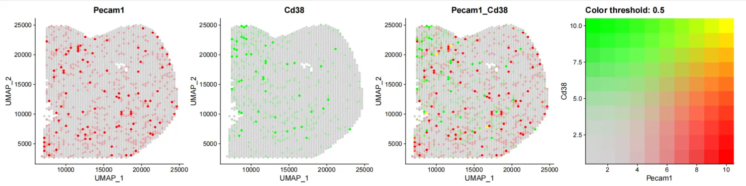 10X单细胞（10X空间转录组）之一张UMAP图同时展示两个基因的表达情况_spatia一张图上同时展示两个基因的表达-CSDN博客