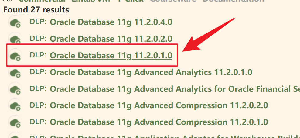 Oracle11g在Windows Sever 2003安装教程_oracle11g r2 下载 win 2003-CSDN博客